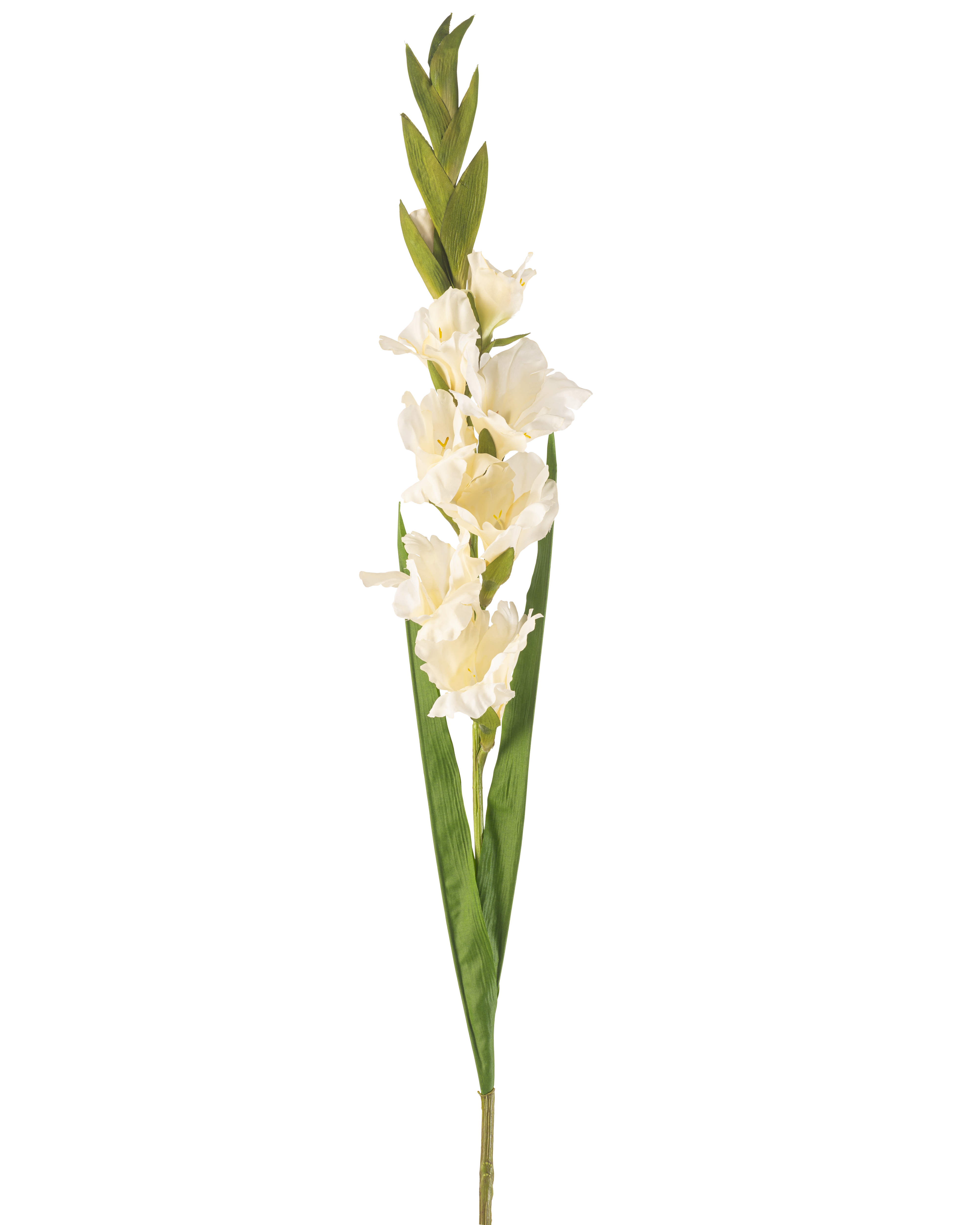 Künstliche Blume Gladioli 93 cm creme – Easyplants Deutschland